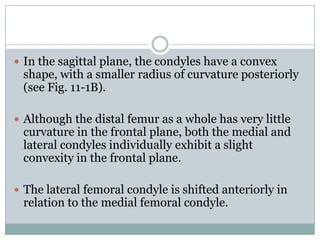 Biomechanics of knee complex 1 | PPTX