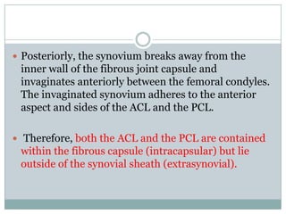 Biomechanics of knee complex 3 | PPTX