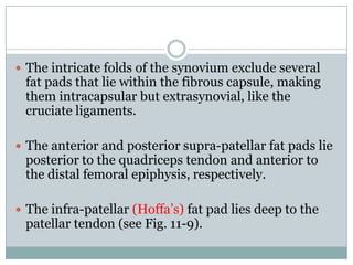 Biomechanics of knee complex 3 | PPTX