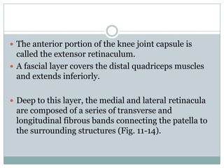 Biomechanics of knee complex 3 | PPTX