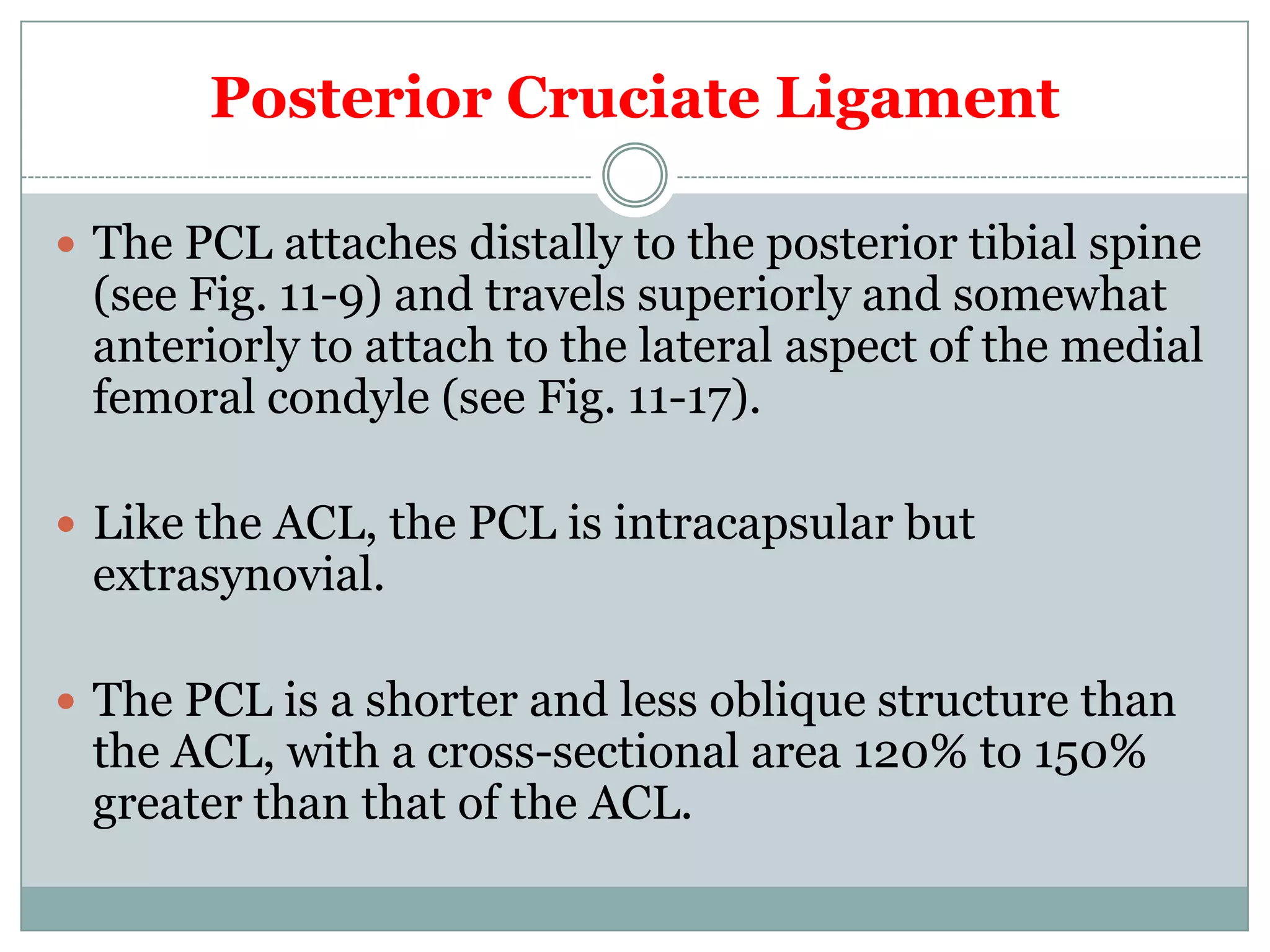 Biomechanics of knee complex 4 ligaments | PPTX