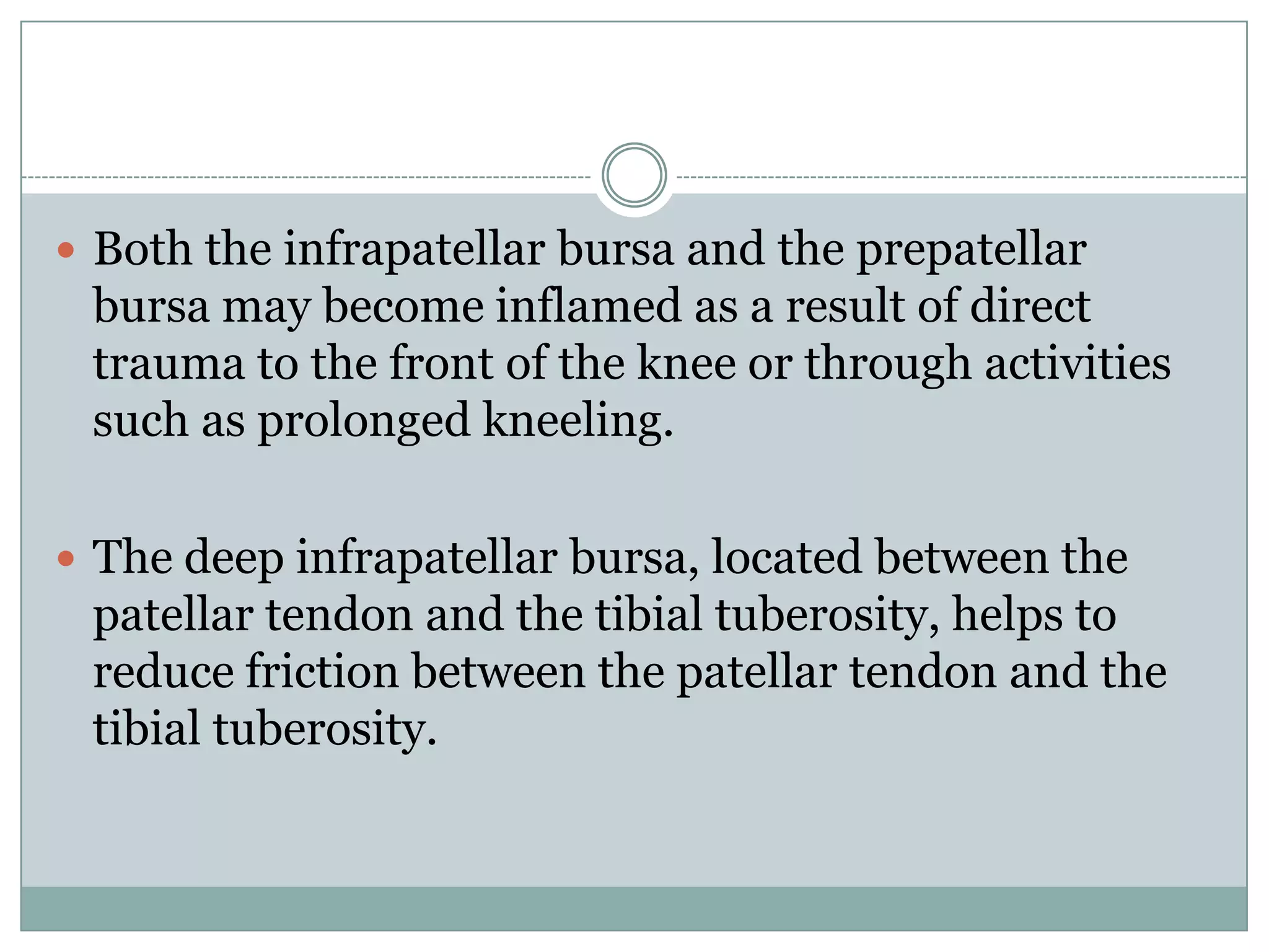 Biomechanics of knee complex 5 bursae | PPTX
