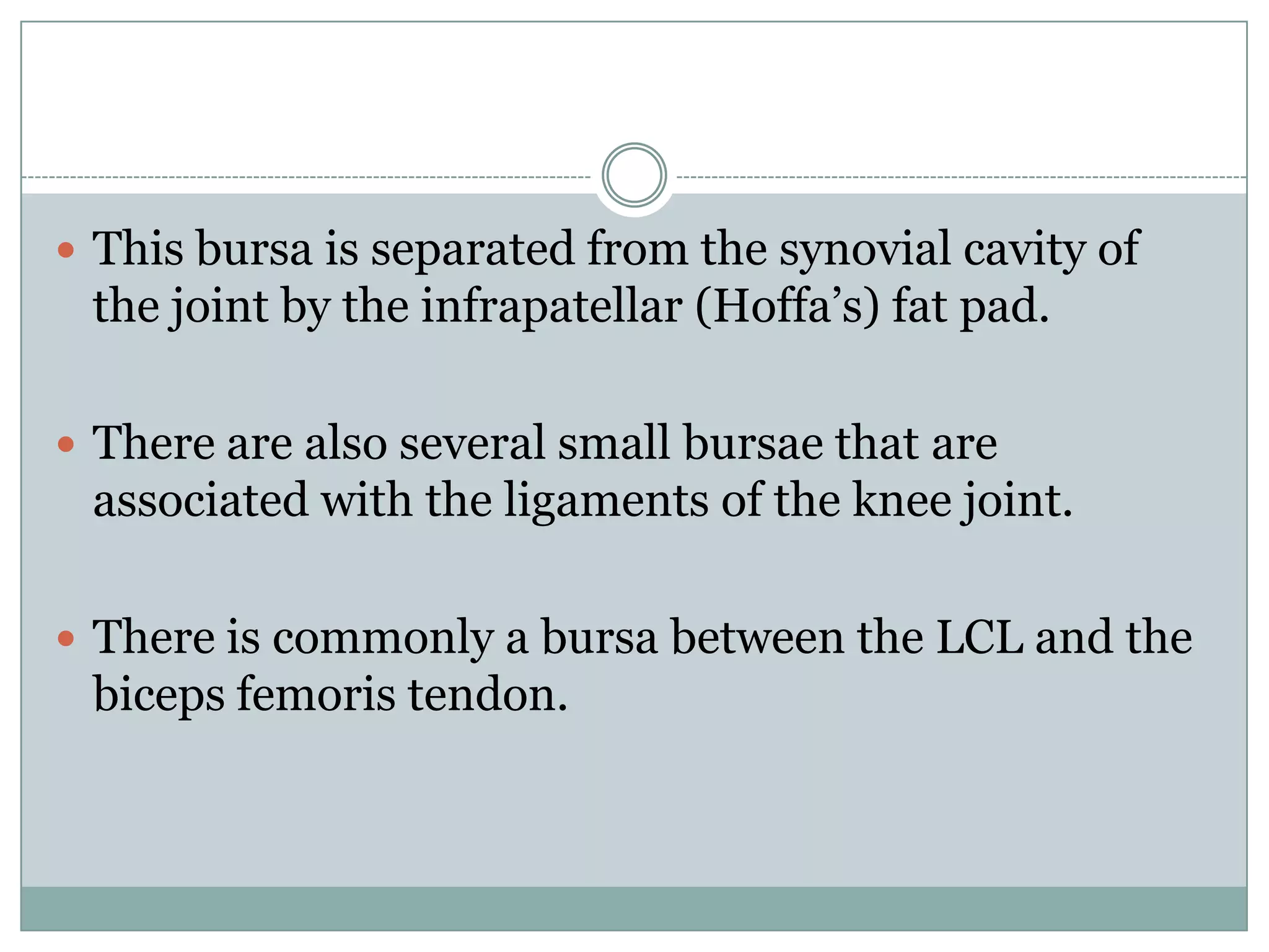 Biomechanics of knee complex 5 bursae | PPTX