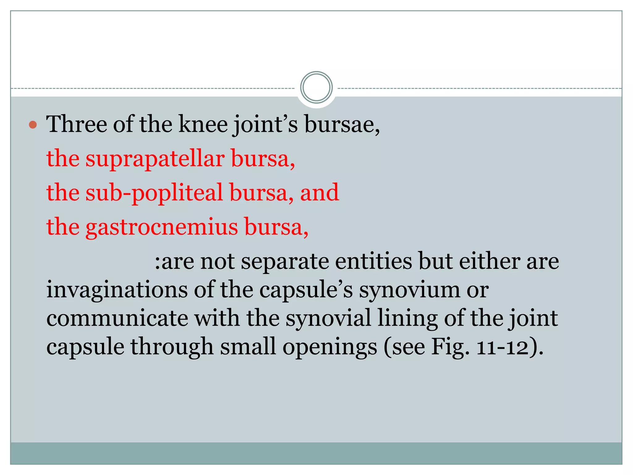 Biomechanics of knee complex 5 bursae | PPTX