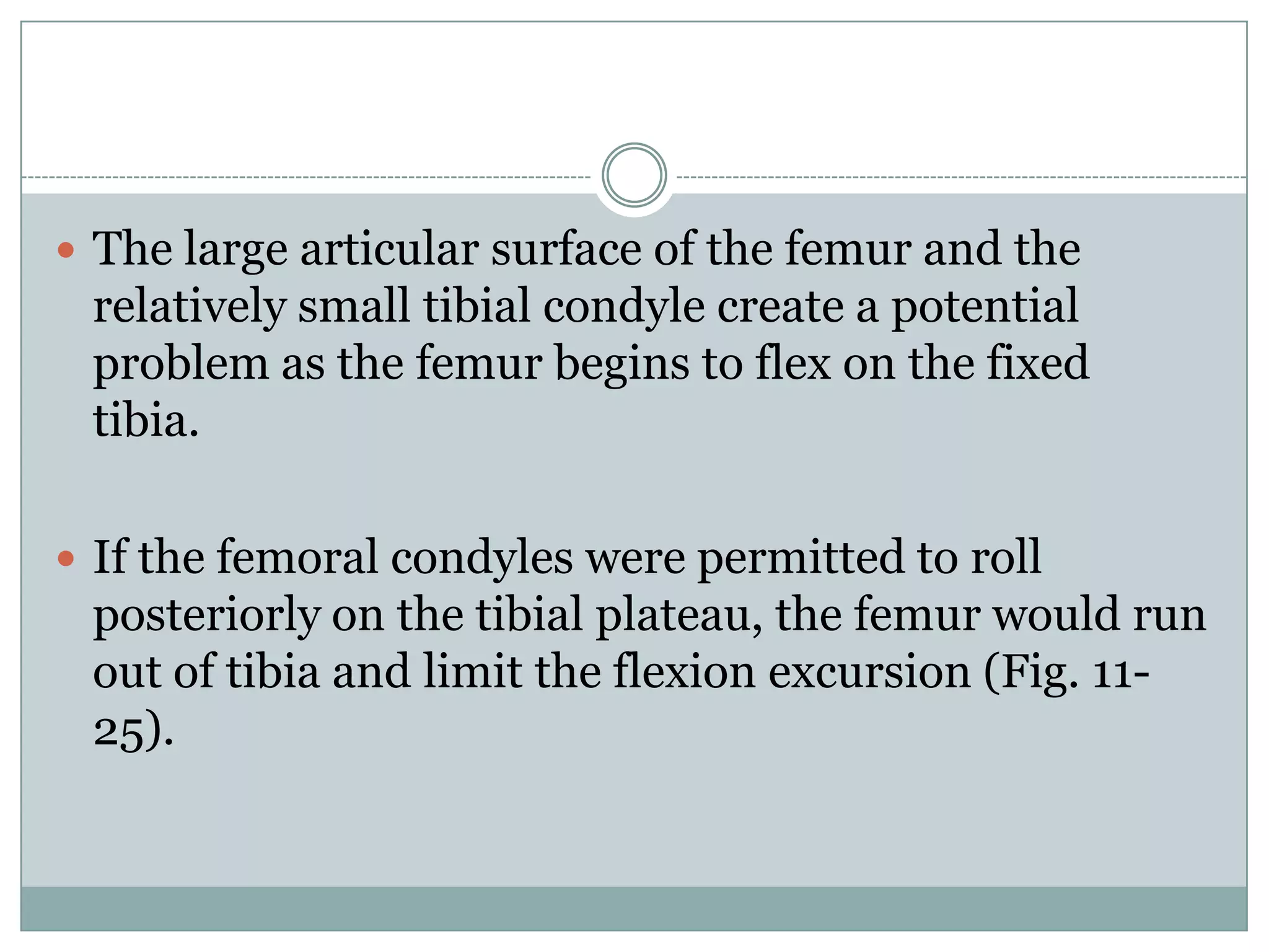 Biomechanics of knee complex 6 tibiofemoral jt function | PPTX
