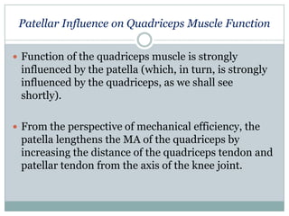 Biomechanics of knee complex 7 muscles | PPTX