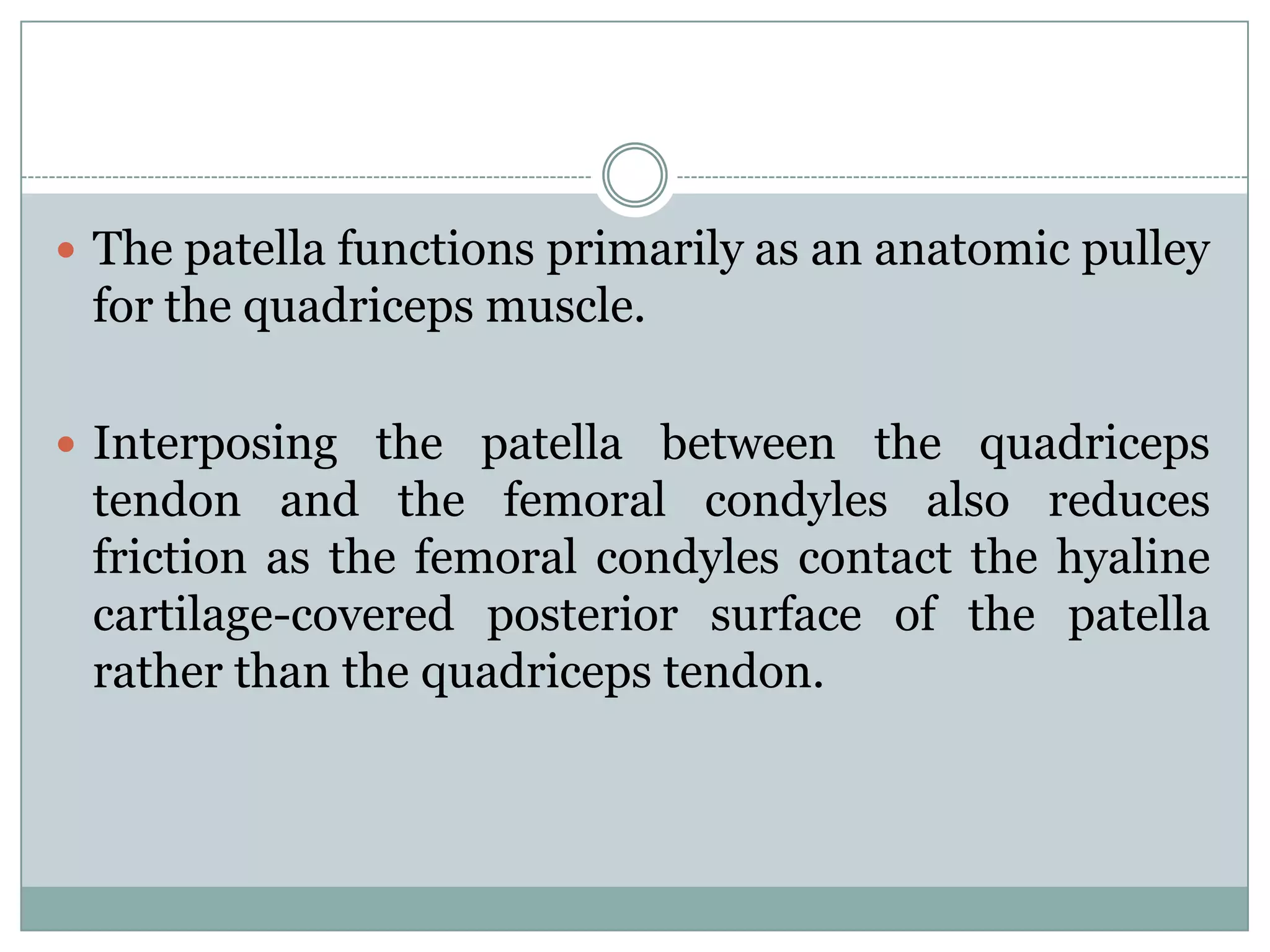 Biomechanics of knee complex 8 patellofemoral joint | PPTX