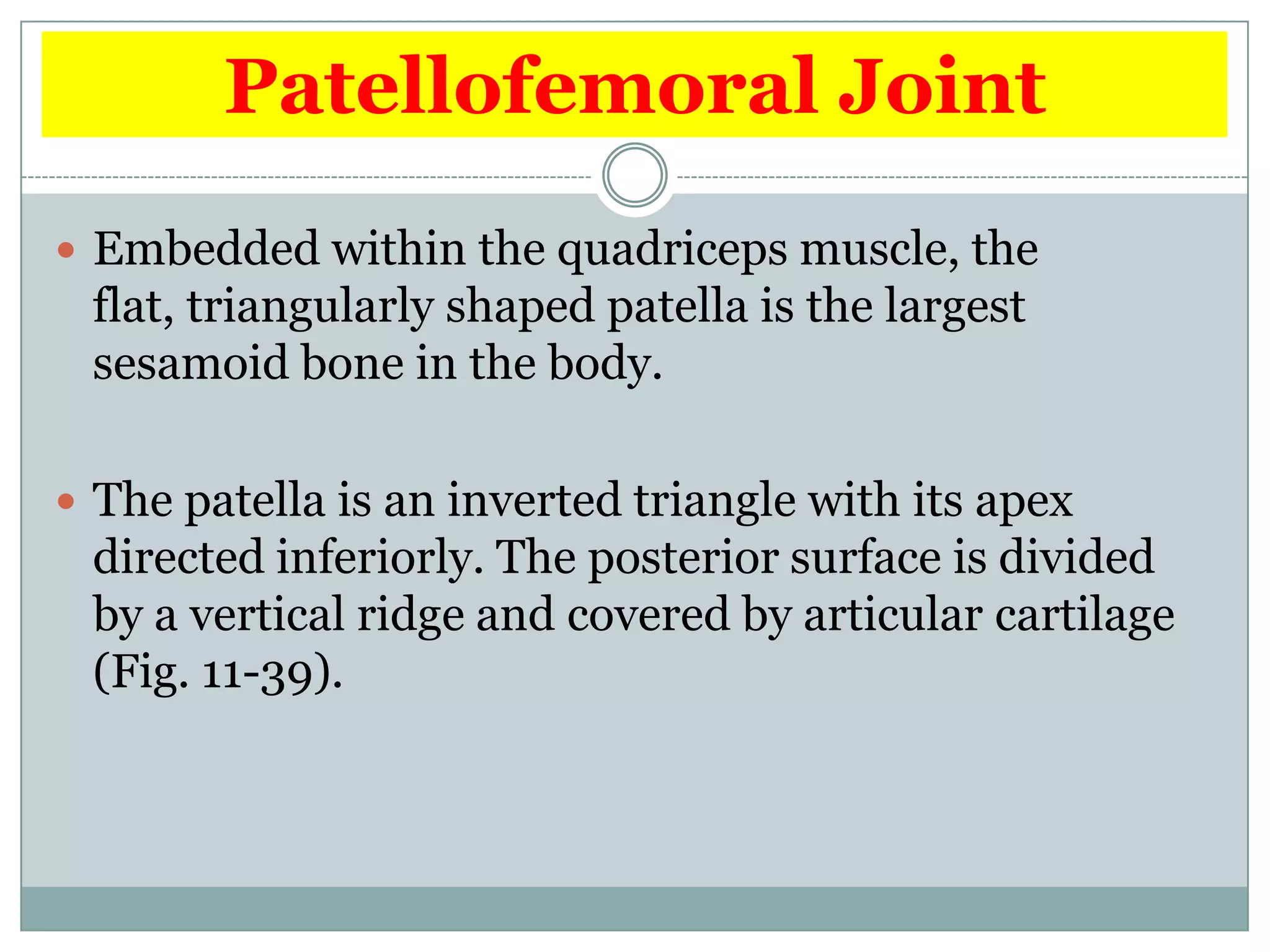 Biomechanics of knee complex 8 patellofemoral joint | PPTX