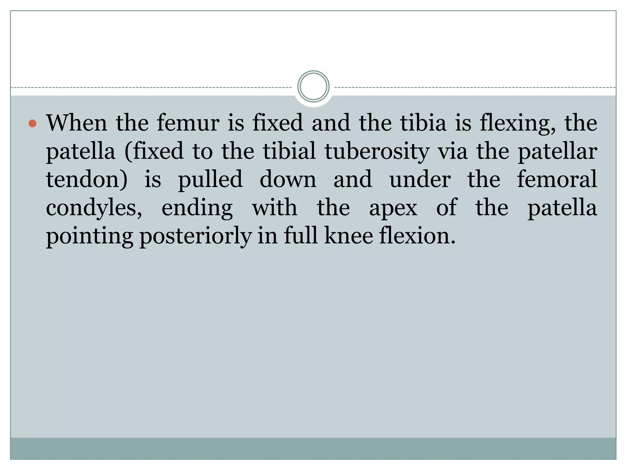 Biomechanics of knee complex 8 patellofemoral joint | PPTX