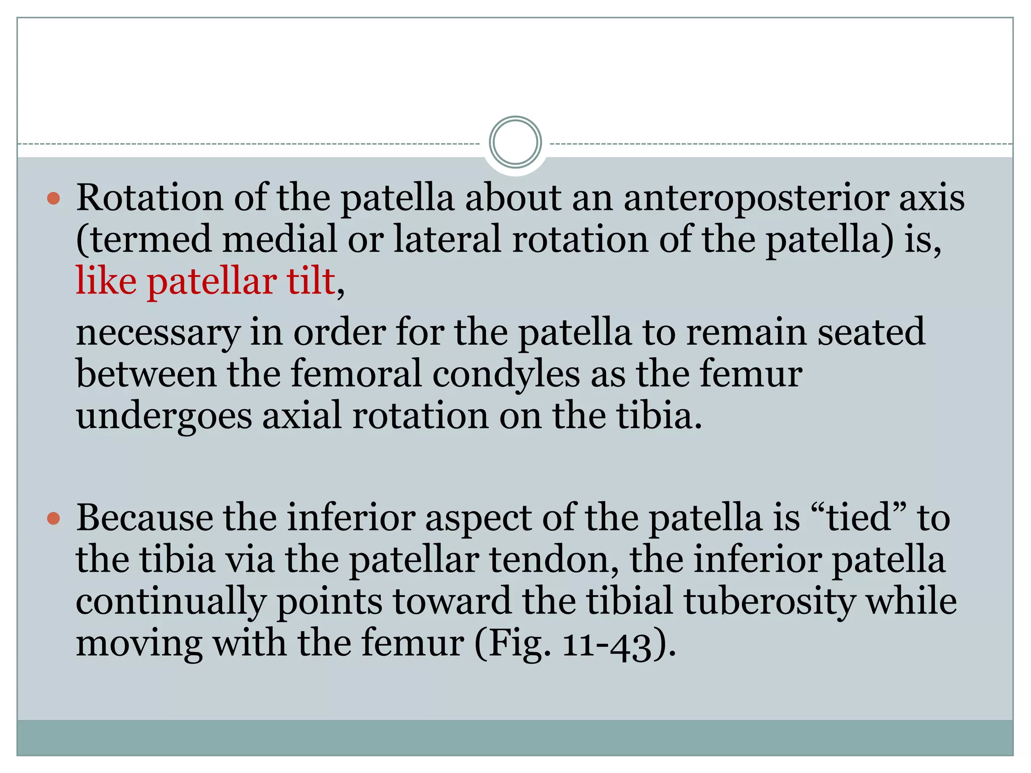 Biomechanics of knee complex 8 patellofemoral joint | PPTX