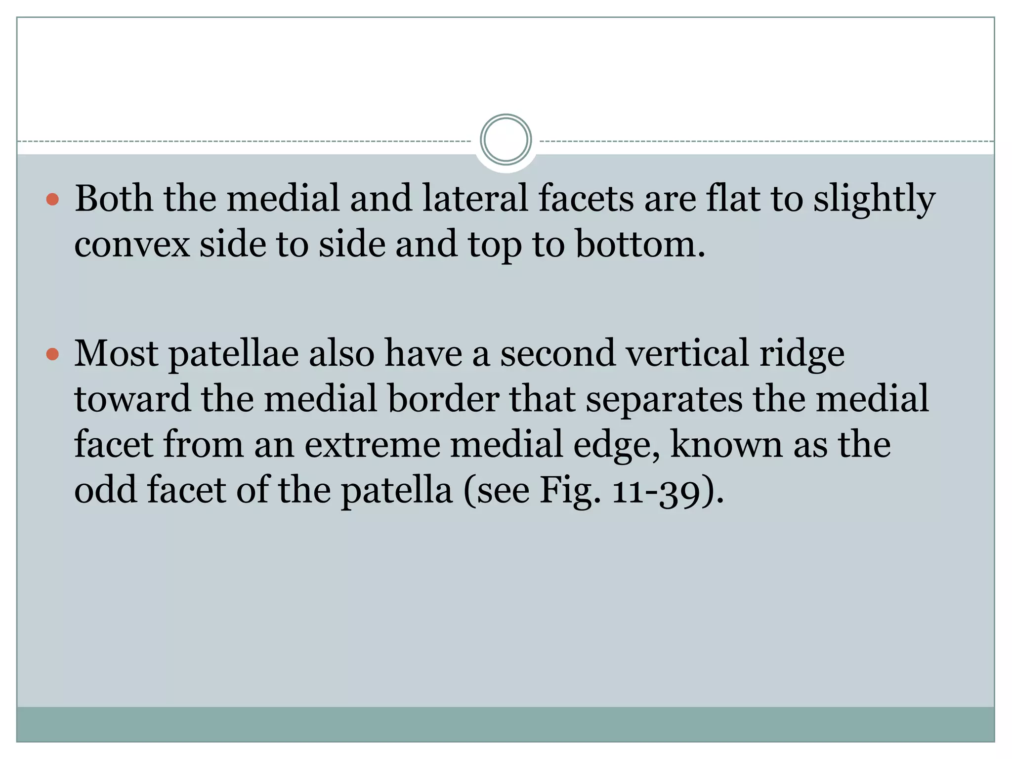 Biomechanics of knee complex 8 patellofemoral joint | PPTX
