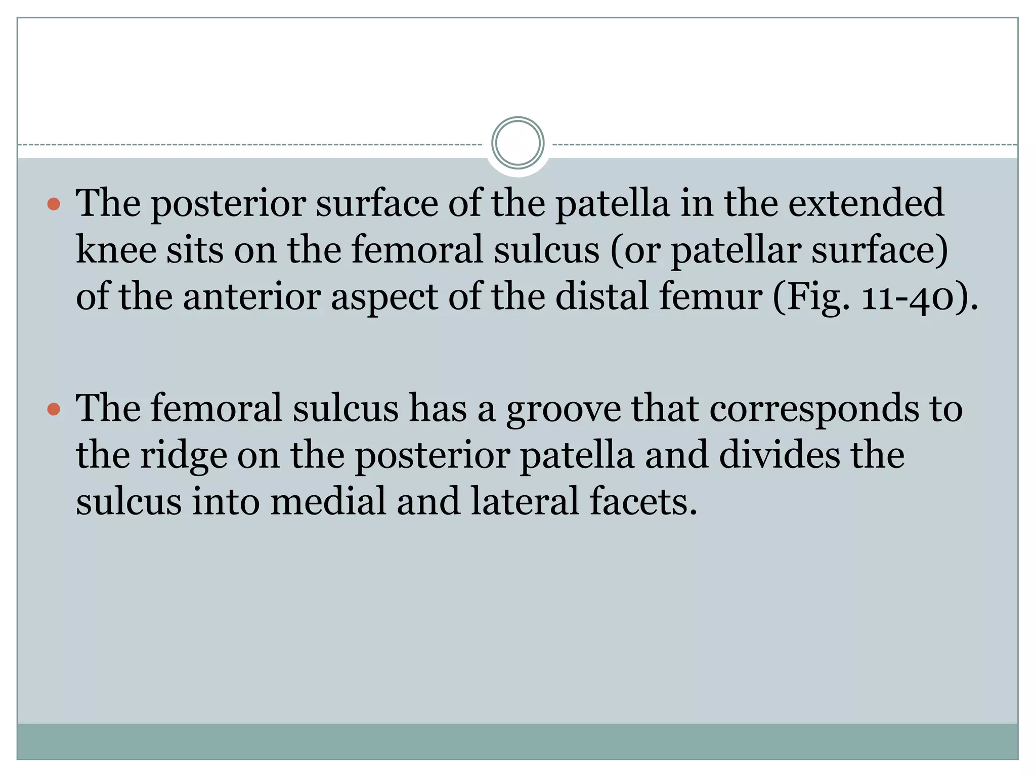 Biomechanics of knee complex 8 patellofemoral joint | PPTX