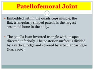 Biomechanics of knee complex 8 patellofemoral joint | PPTX