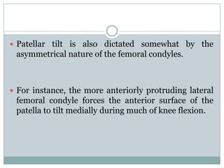 Biomechanics of knee complex 8 patellofemoral joint | PPTX