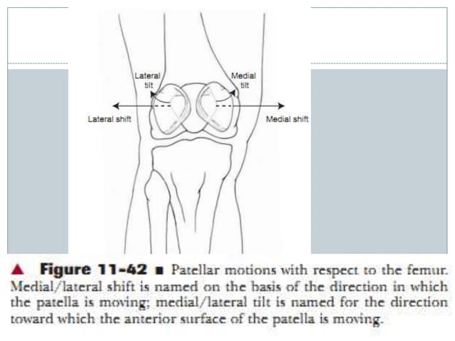 Biomechanics of knee complex 8 patellofemoral joint | PPTX