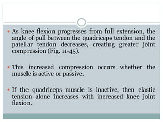 Biomechanics of knee complex 8 patellofemoral joint | PPTX