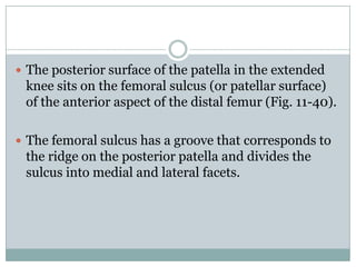 Biomechanics of knee complex 8 patellofemoral joint | PPTX
