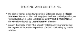 biomechanics. of. knee. FINAL | PPTX
