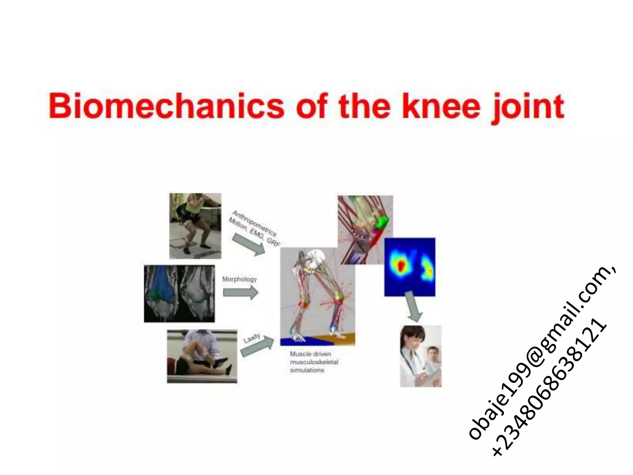 Biomechanics of knee jnt | PPT