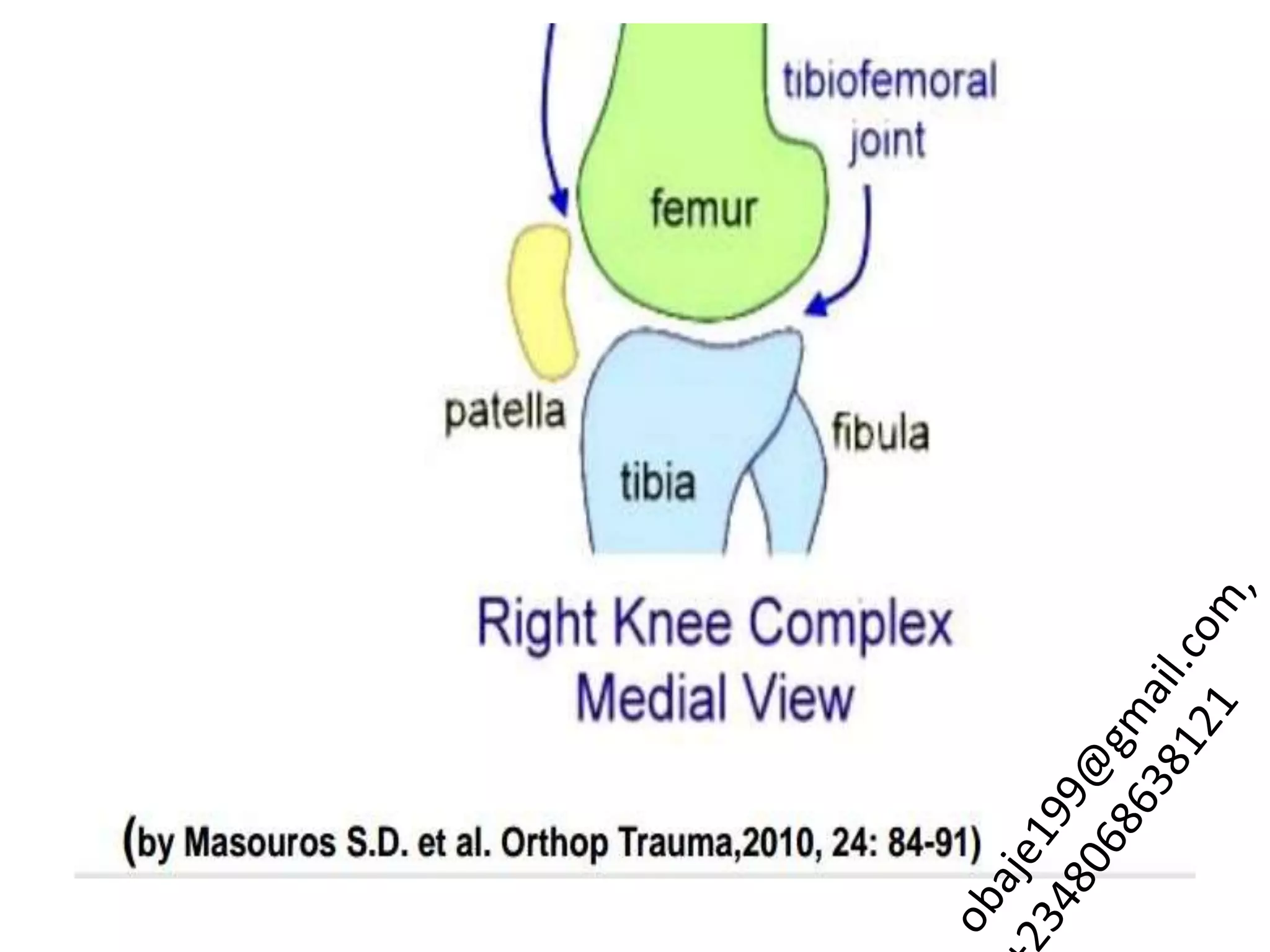 Biomechanics of knee jnt | PPT