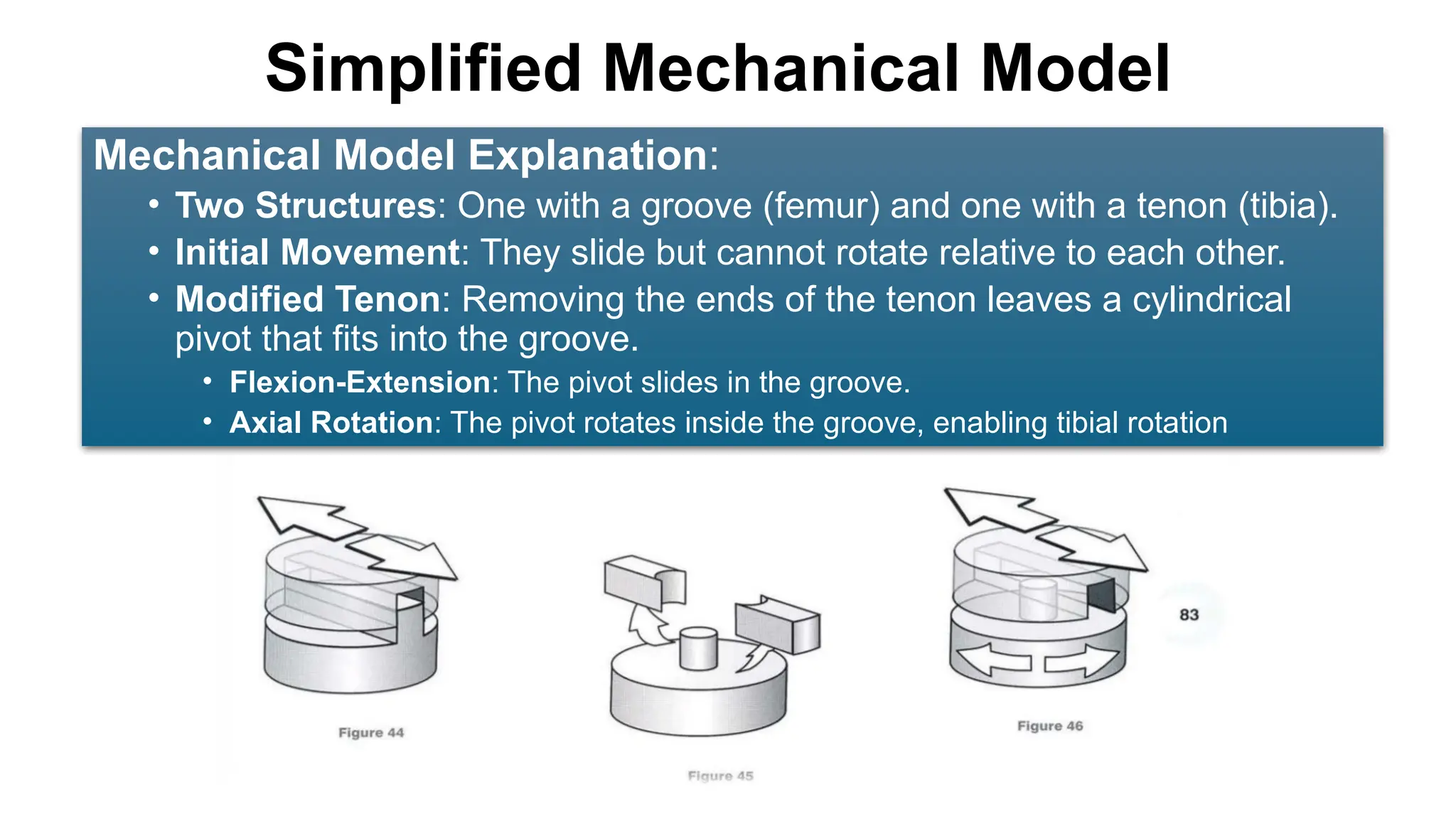 Biomechanics of Knee Joint For Orthopaedic Residents | PPTX