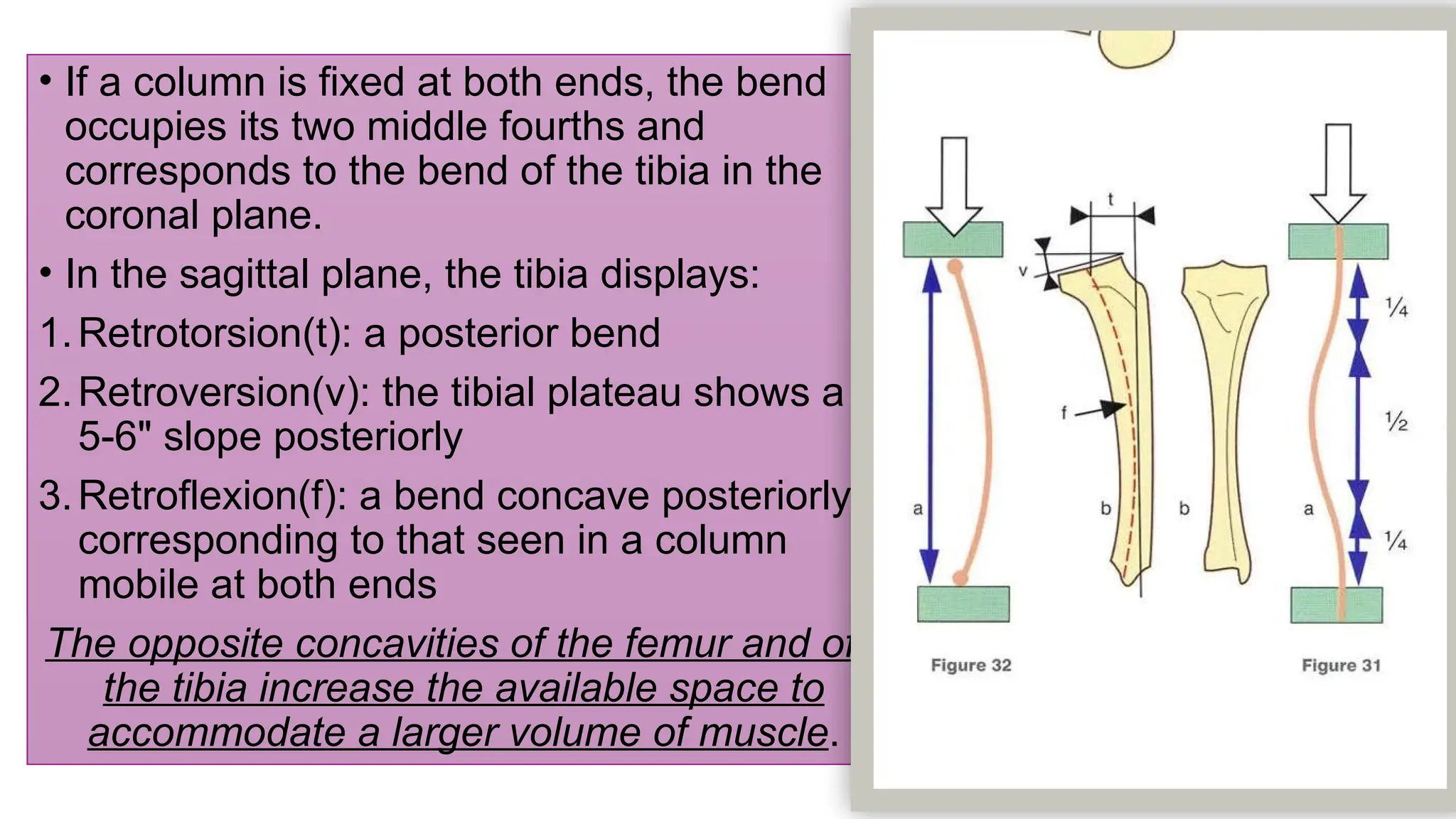 Biomechanics of Knee Joint For Orthopaedic Residents | PPTX