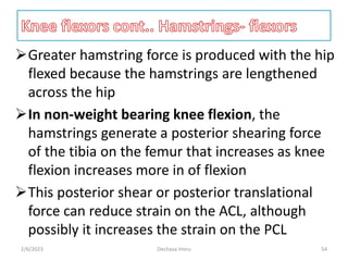 BIOMECHANICS OF KNEE JOINTS 4 2nd yr.pdf