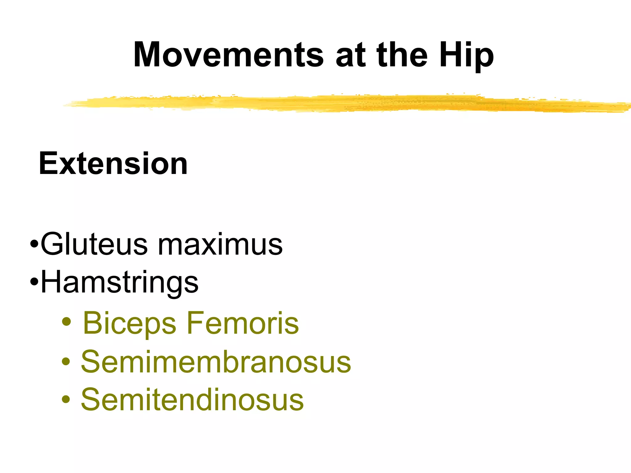 Biomechanics of lower Limb | PPT