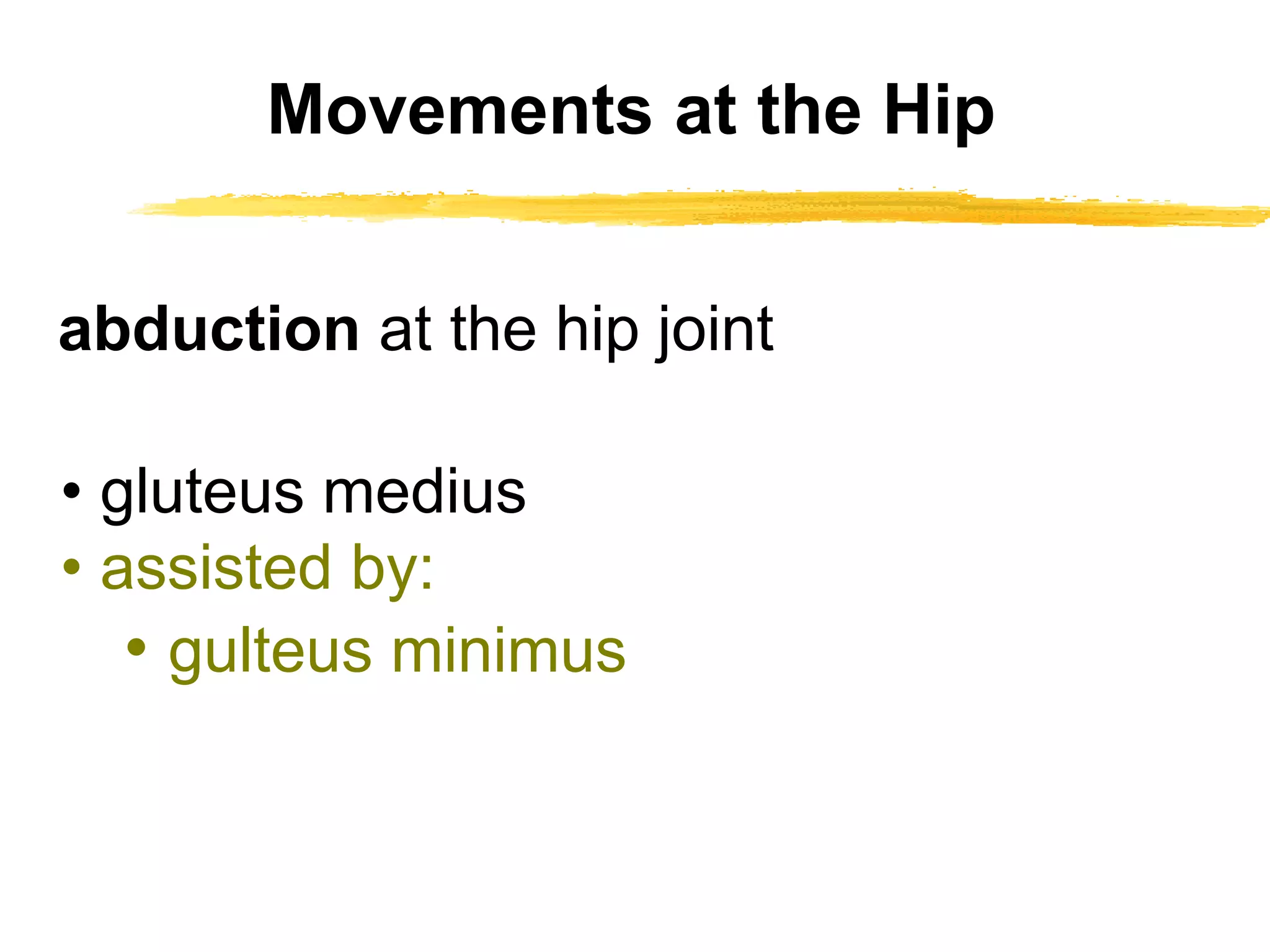 Biomechanics of lower Limb | PPT