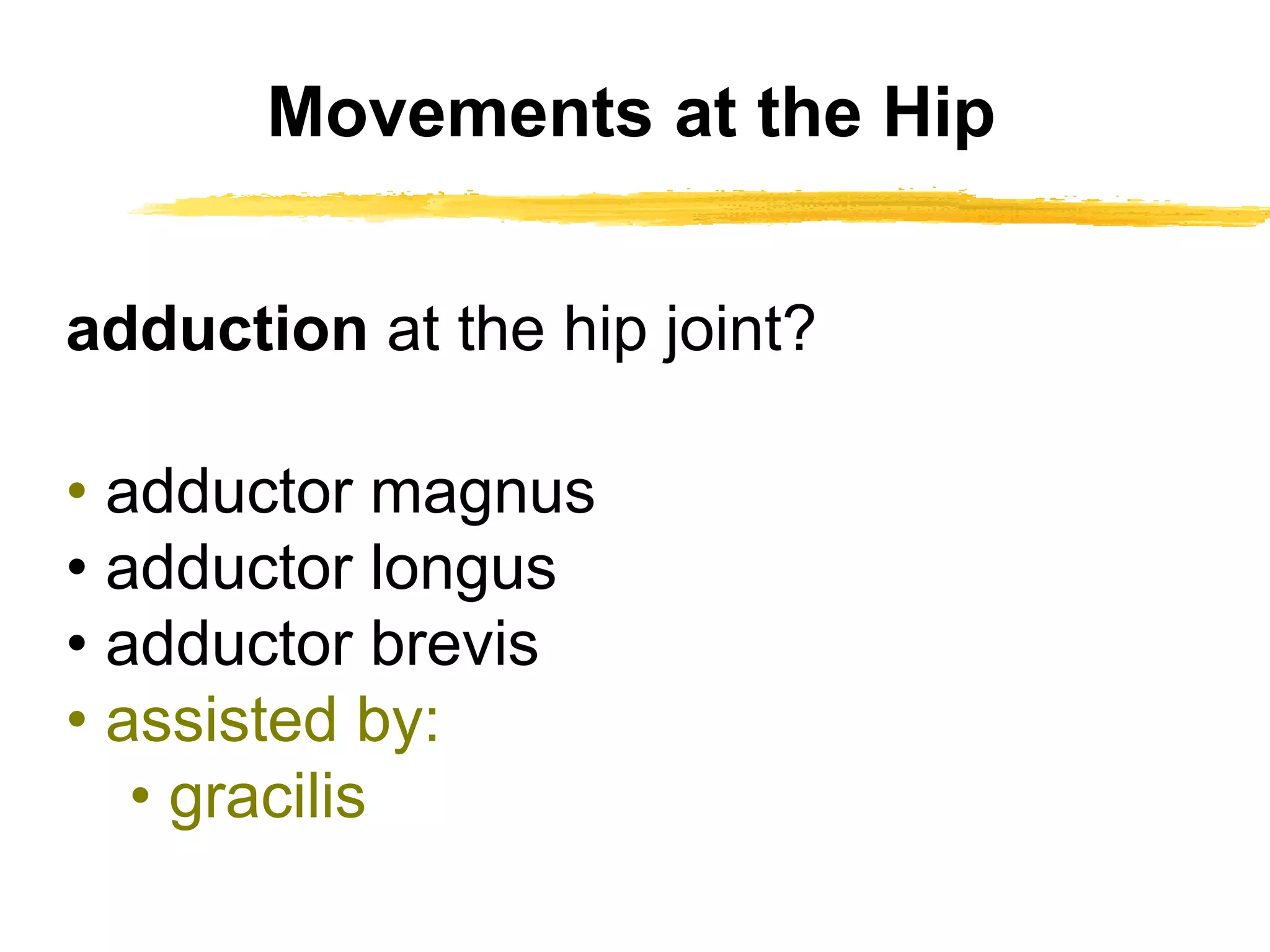 Biomechanics of lower Limb | PPT