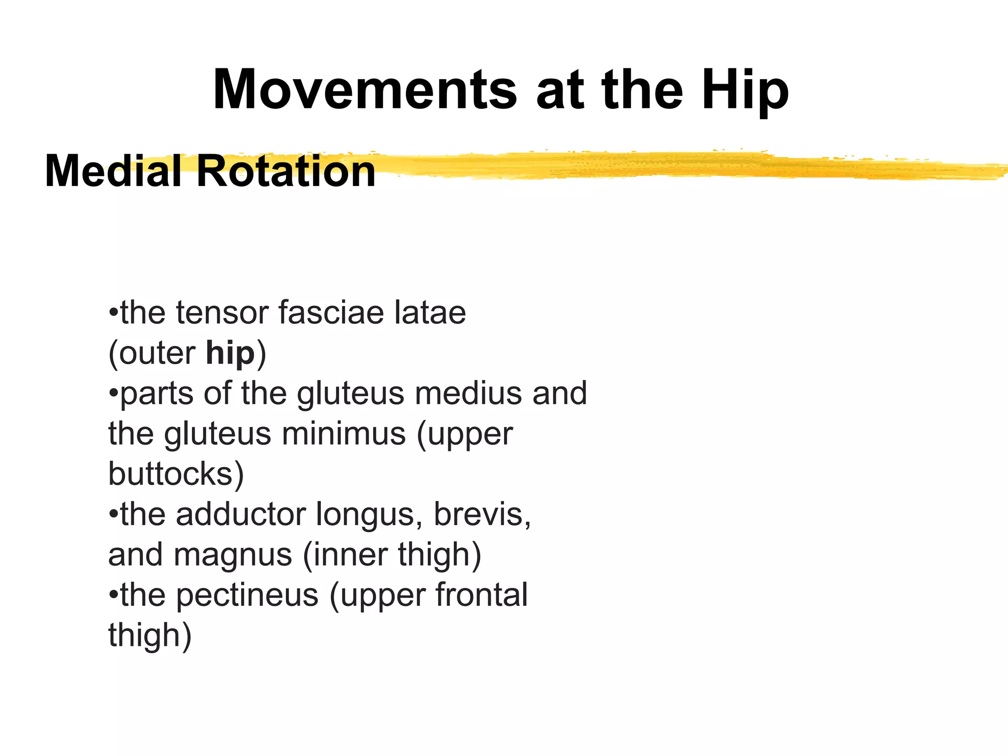 Biomechanics of lower Limb | PPT