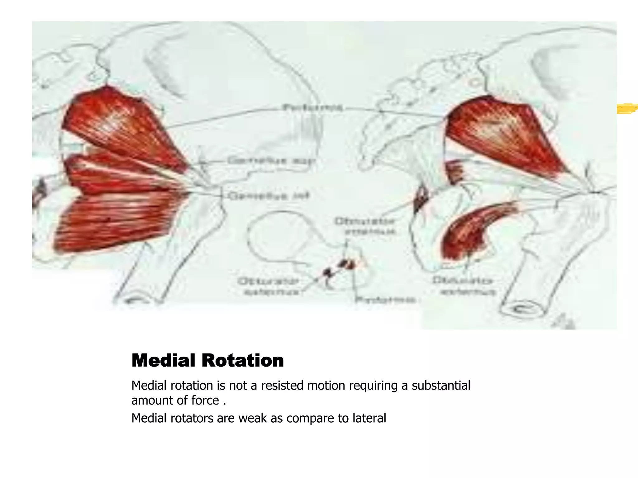 Biomechanics of lower Limb | PPT