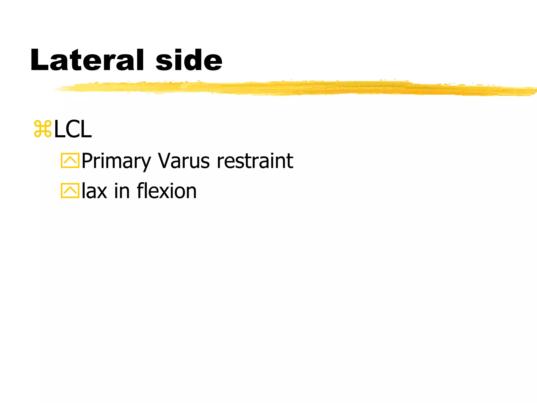 Biomechanics of lower Limb | PPT