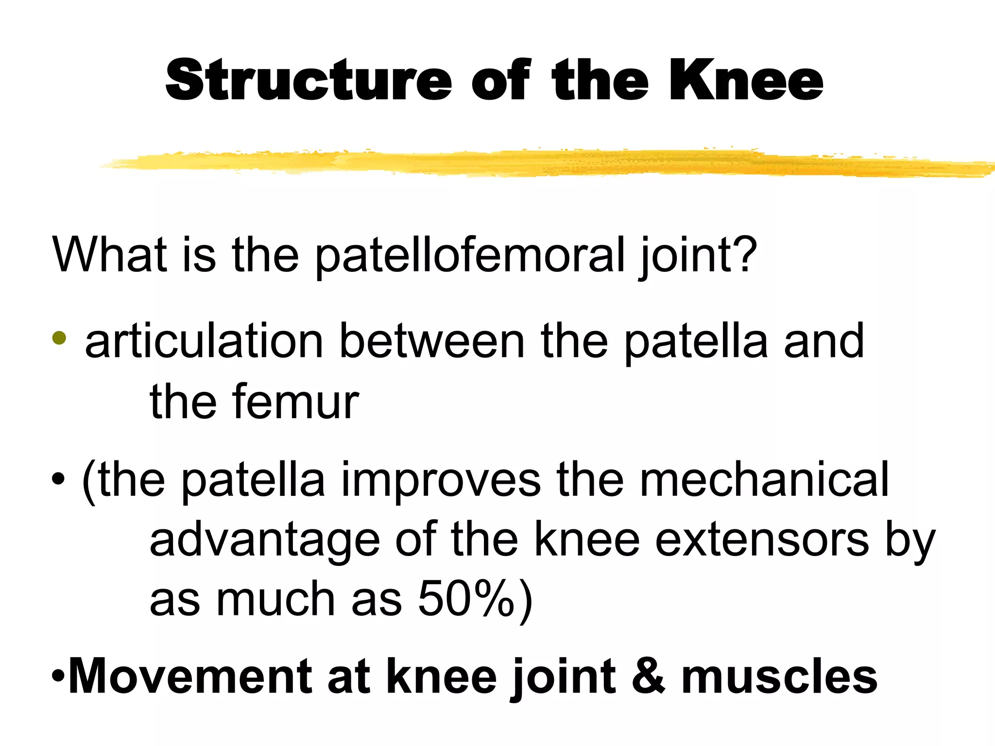 Biomechanics of lower Limb | PPT