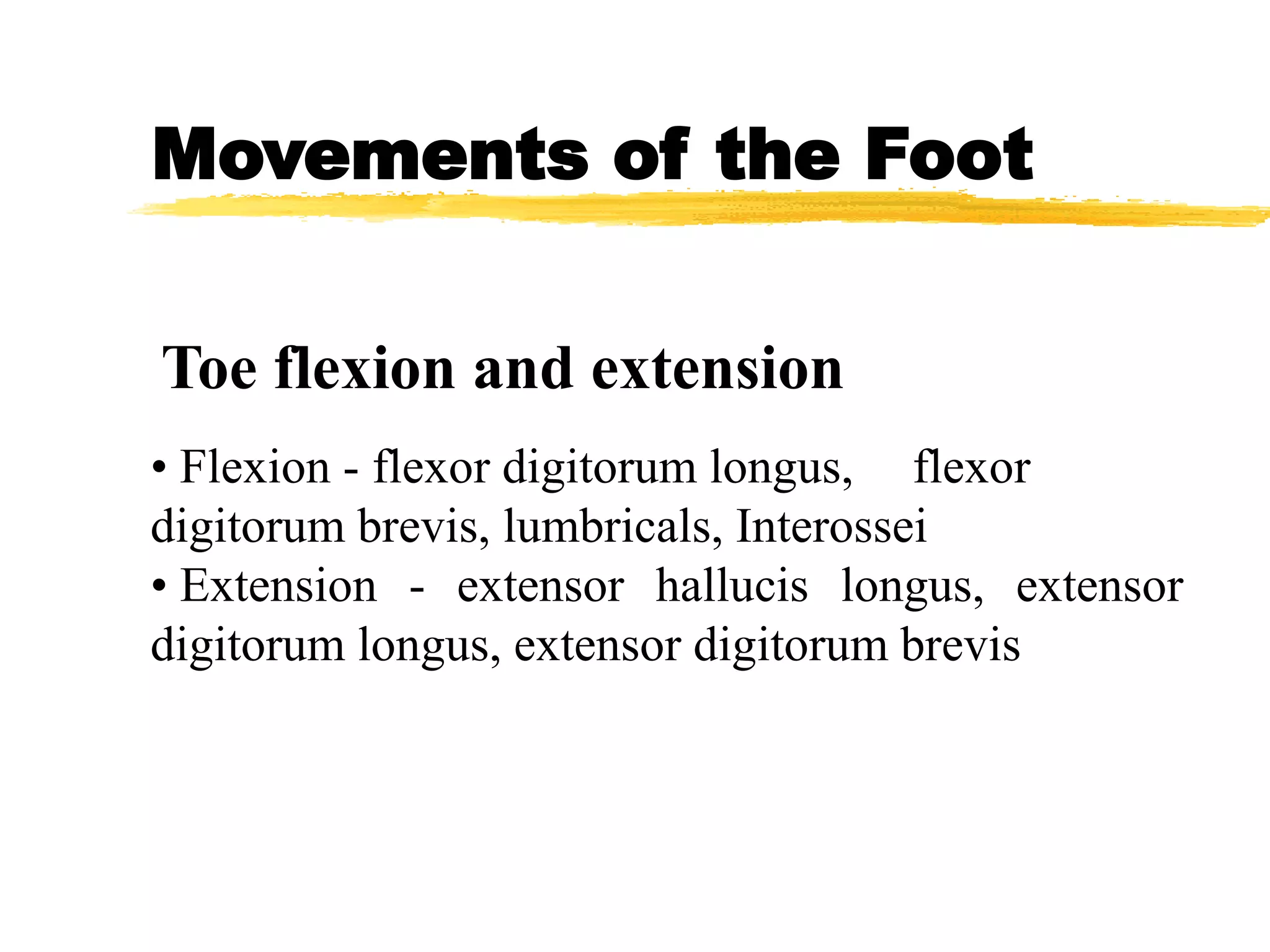 Biomechanics of lower Limb | PPT