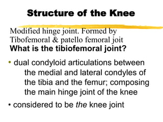 Biomechanics of lower Limb | PPT