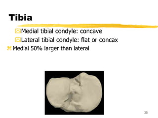 Biomechanics of lower Limb | PPT