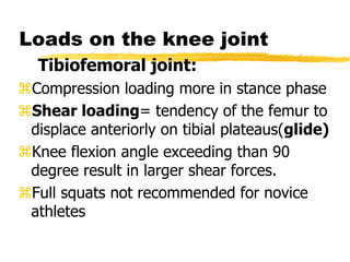 Biomechanics of lower Limb | PPT