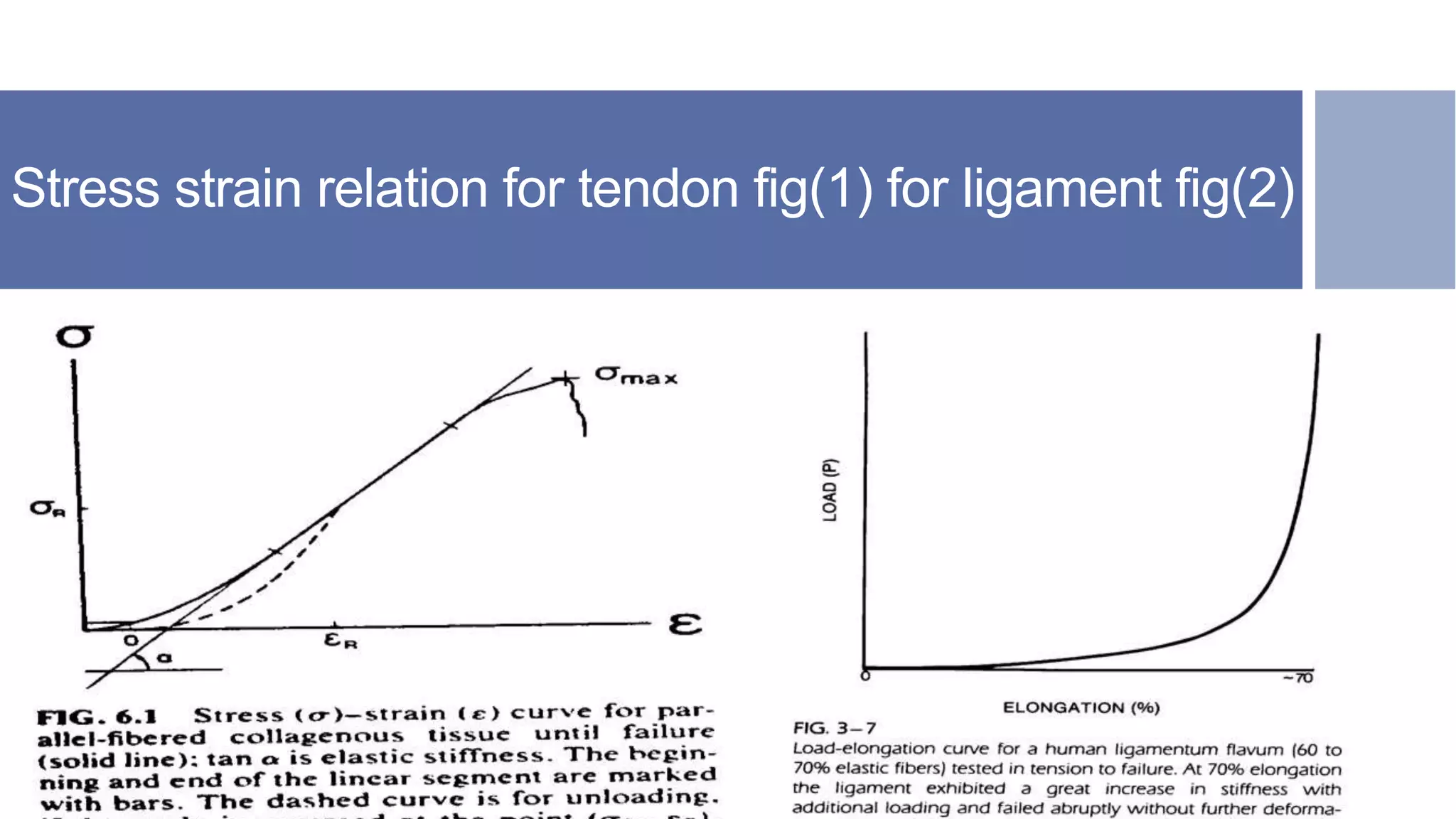 Biomechanics of ligament and tendon | PPTX