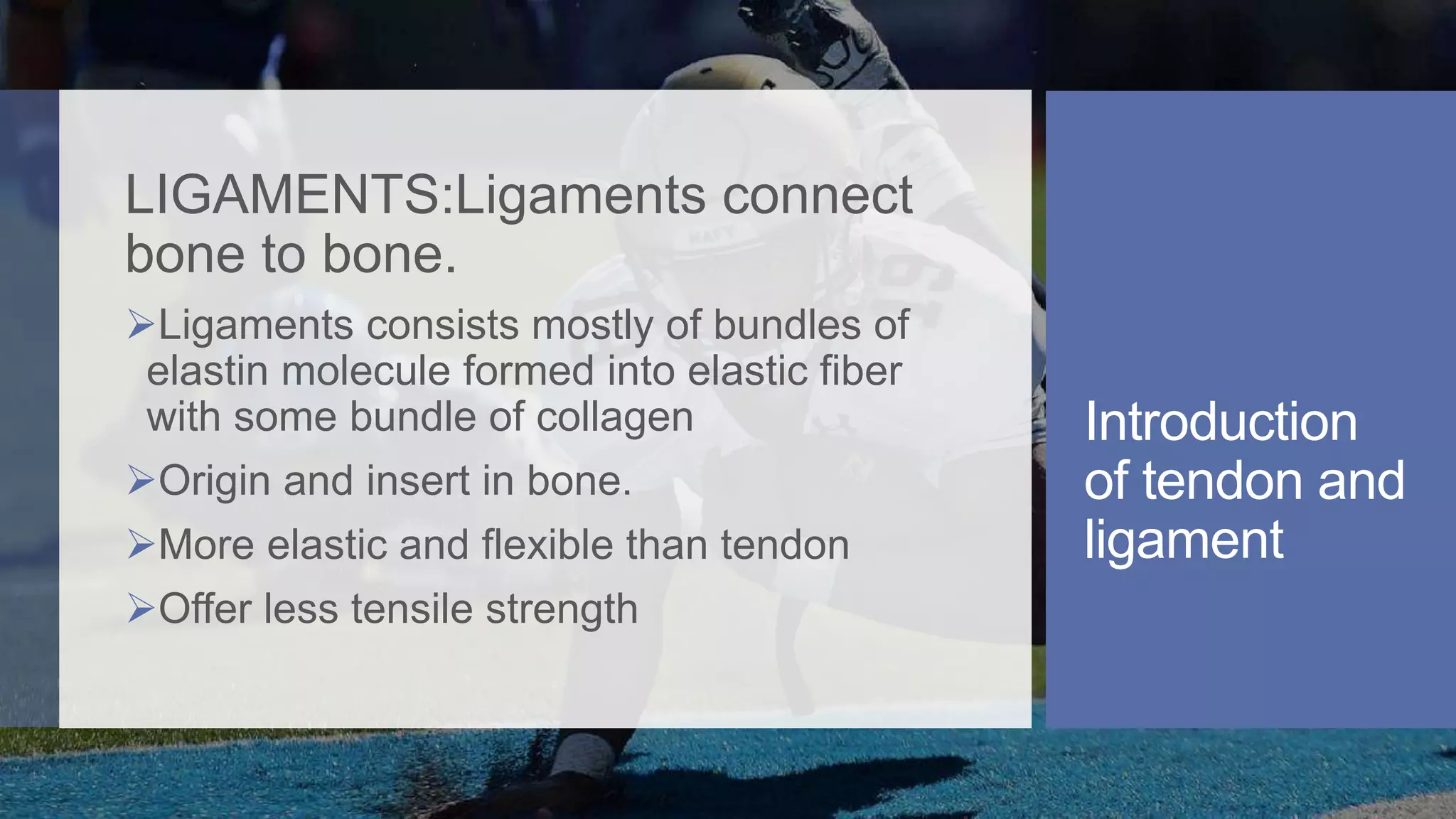 Biomechanics of ligament and tendon | PPTX