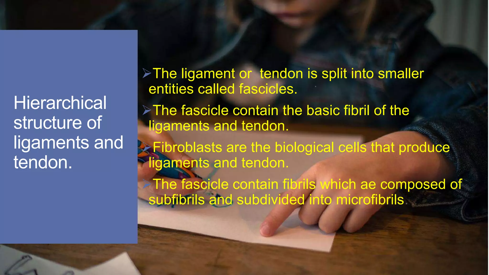 Biomechanics of ligament and tendon | PPTX
