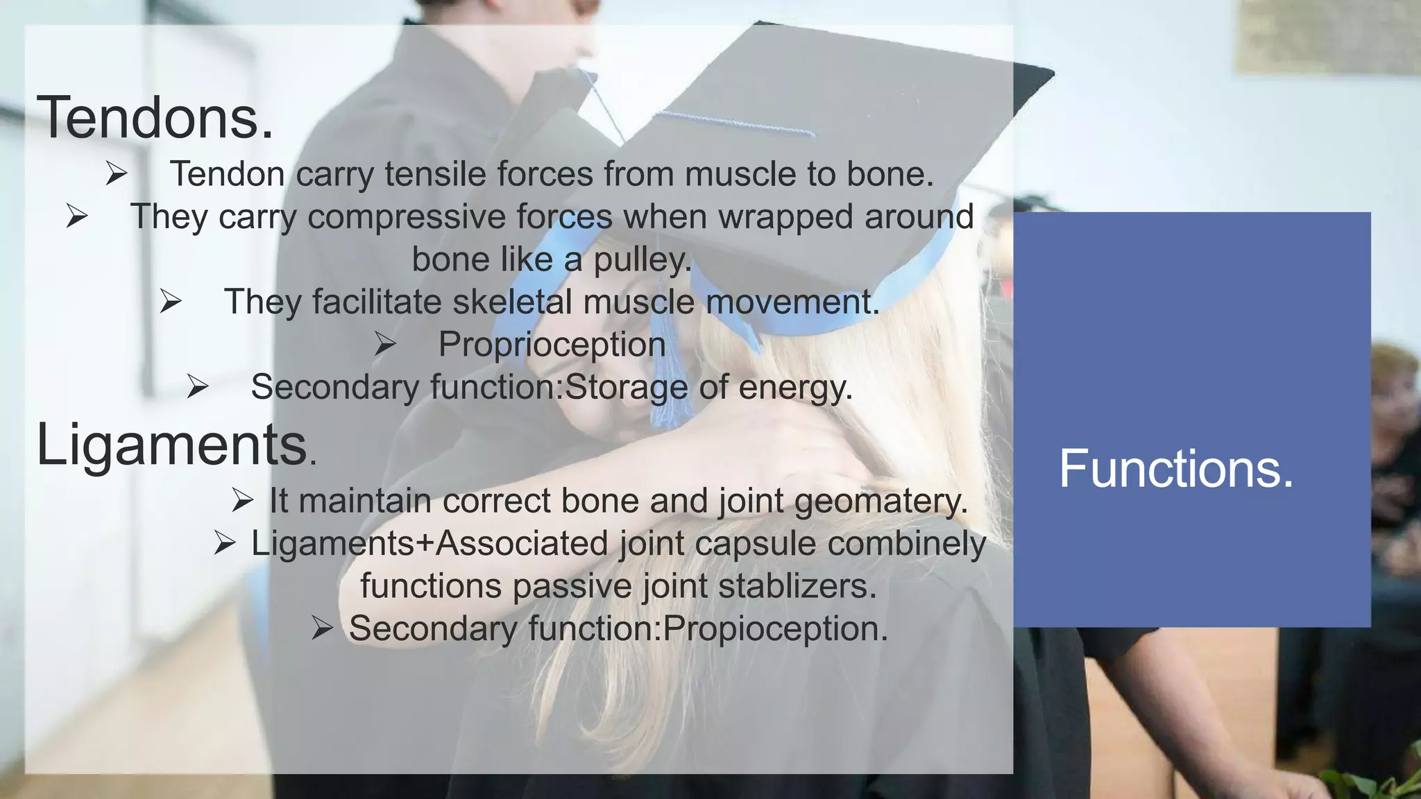 Biomechanics of ligament and tendon | PPTX