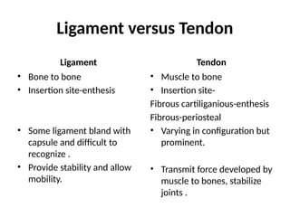 Biomechanics_of_Ligament_and_Tendon[1].pptx