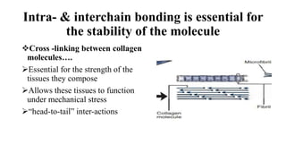 BIOMECHANICS OF LIGAMENT AND TENDONS.pptx