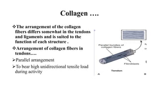 BIOMECHANICS OF LIGAMENT AND TENDONS.pptx