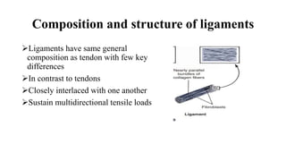 BIOMECHANICS OF LIGAMENT AND TENDONS.pptx