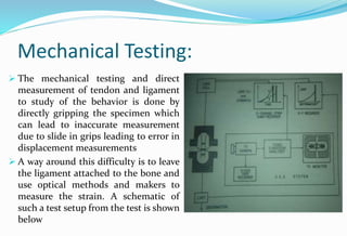 Biomechanics of ligaments & tendons | PPTX