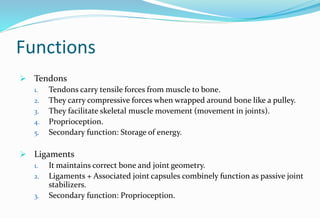 Biomechanics of ligaments & tendons | PPTX