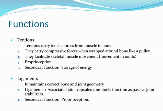 Biomechanics of ligaments & tendons | PPTX | Geology | Science