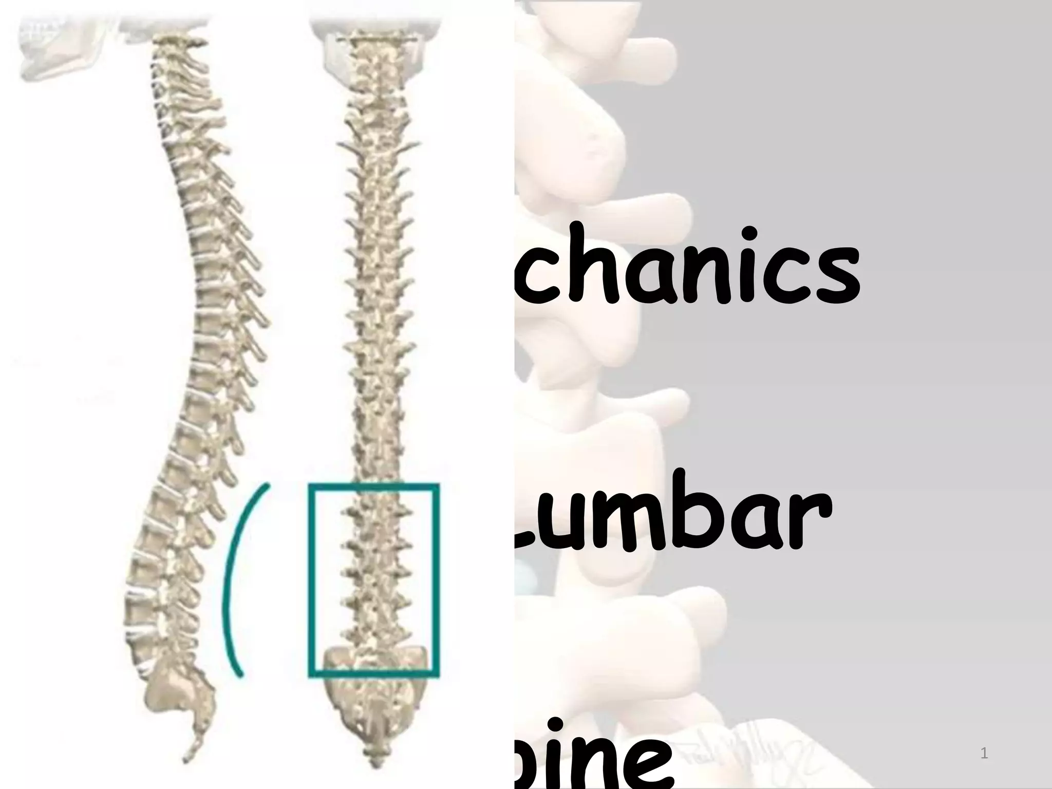 Biomechanics of lumbar spine | PPTX